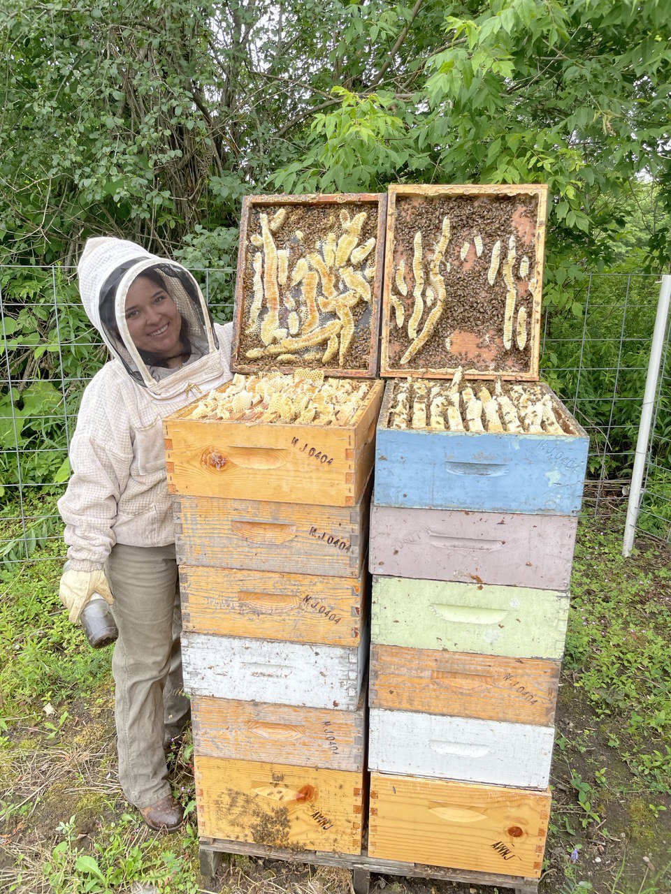 Warcola Apiaries